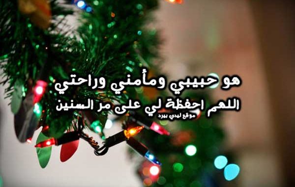 دعاء السنة الجديدة للحبيب ليدي بيرد