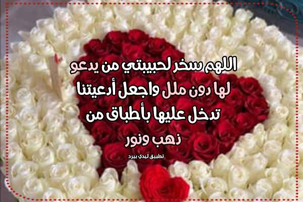 دعاء عيد الحب للحبيبة - ليدي بيرد