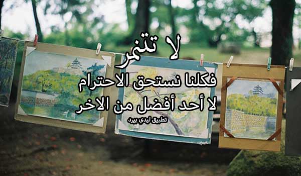 عبارات عن التنمر - ليدي بيرد