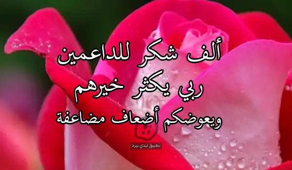 كلمة شكر للداعمين - ليدي بيرد